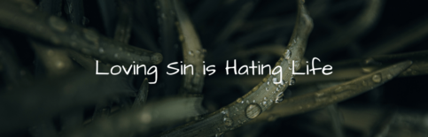 Loving Sin Is Hating Life - Gary Thomas
